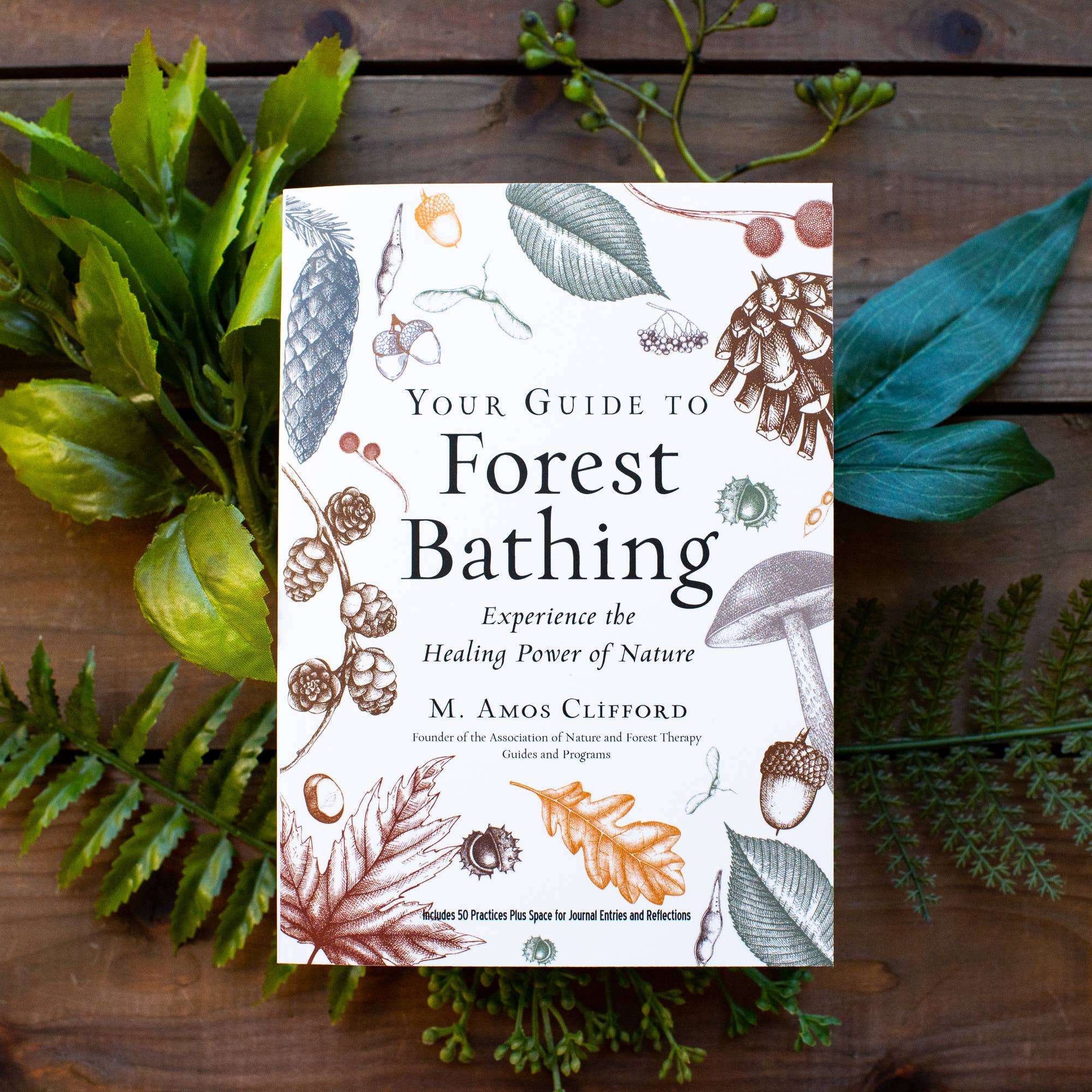 Your Guide to Forest Bathing: Expanded Edition Book – Achnacarry ...